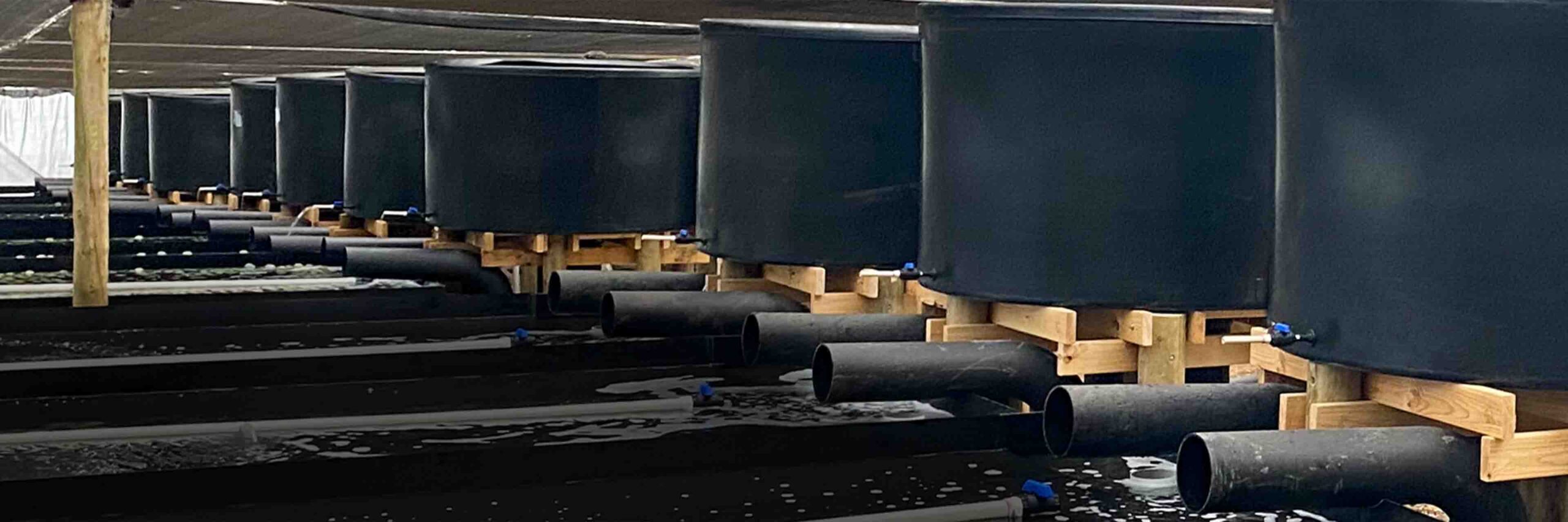 Eco Flow Flush System - SmartBar